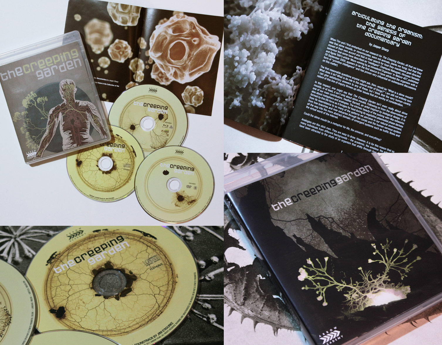 The Creeping Garden arrives from Arrow Academy - creepinggarden